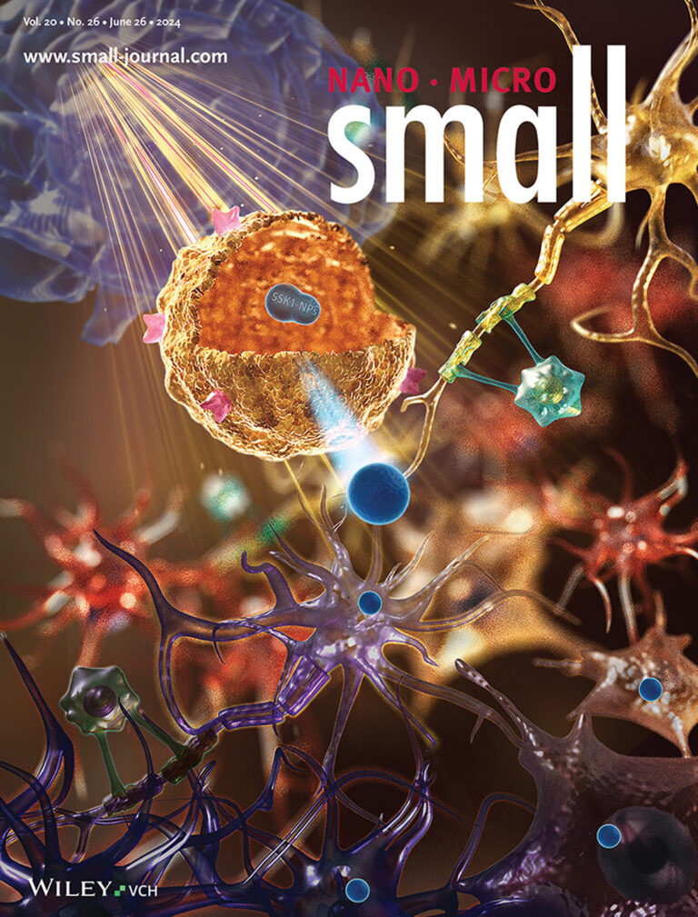 Group Members Anan and Yi Publish a paper in Small, titled “Mixed ...